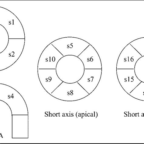 Schematics Of 16 Segment Model Used For Visual Scoring And Segmental