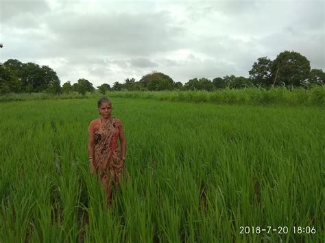 Empowering Smallholder Farmers With Sustainable Food Systems