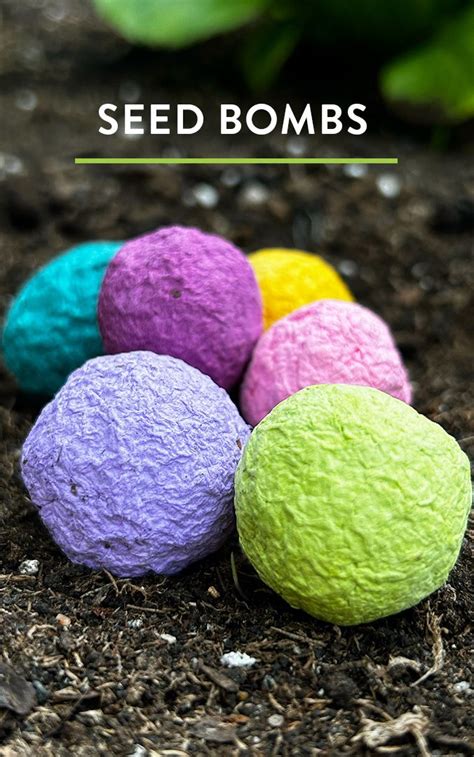 Seed Bombs Artofit