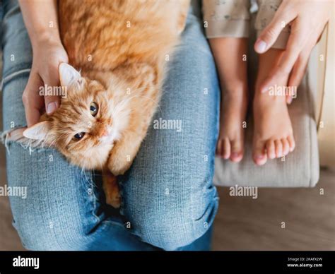 Ginger Angry Barefoot