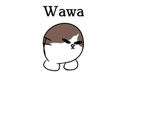 Wawa Cat Papercraft Cube Rwawacat