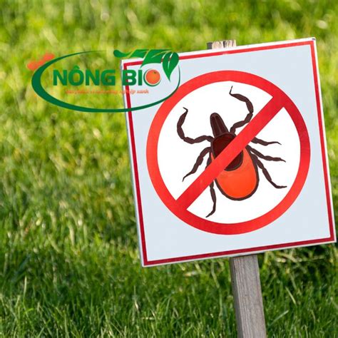 Thiên địch là gì Lợi ích của thiên địch trong nông nghiệp Nông Bio