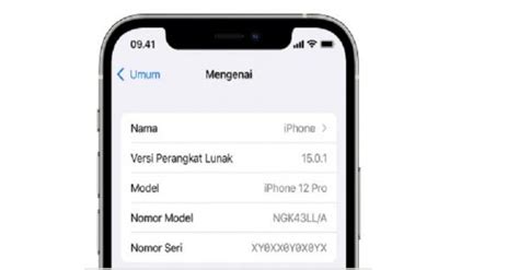 Cara Daftar IMEI IPhone Perlu Tahu Untuk Hindari Pemblokiran