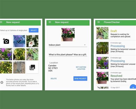 7 Best Flower Identification Apps And Tools To Identify Any Flower