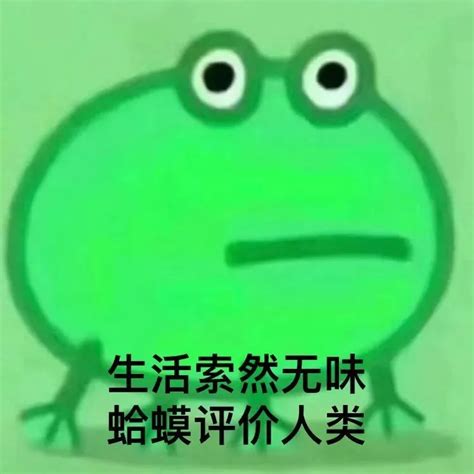 使用频率很高的聊天表情包