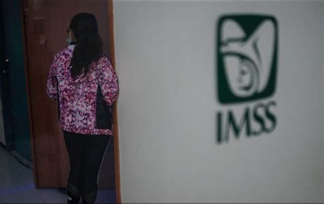 IMSS Cómo sacar el número de seguro social El Informador