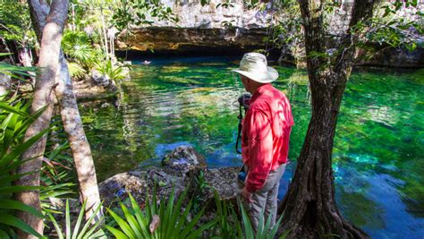 Routes Through The Best Jungles In Mexico Airguide