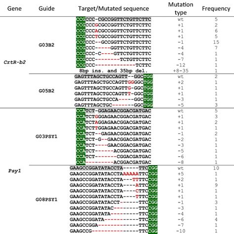 Dna Sequence Mutation Type And Frequency Of Crisprcas9 Generated