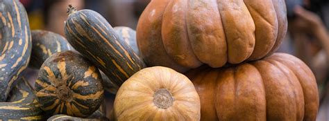 Remedios caseros para la próstata Blogs MAPFRE