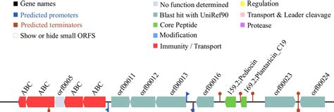 Genes Related To Bacteriocin Production In Cp201 Were Analyzed By Bagel