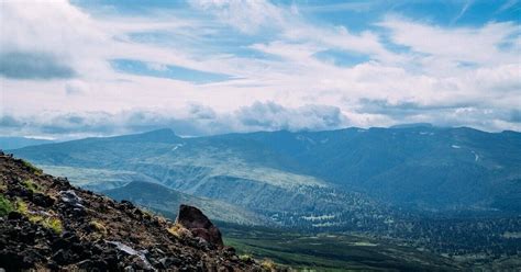 悪性症候群にしない｜身体科の先生に頭を下げる前に｜精神科医はぐりん