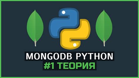 MongoDB Python 1 Теория и основные технологии СУБД PyMongo YouTube
