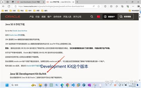 Windows11下java Se 8，jdk下载安装及path路径（环境变量）设置 知乎