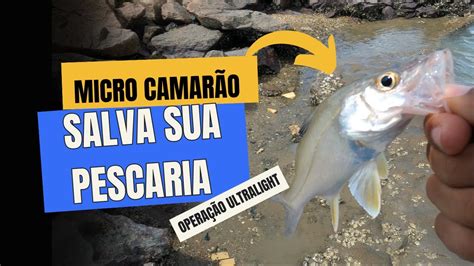 Micro Camarão Na Pescaria Ultra Light Nas Pedras Youtube