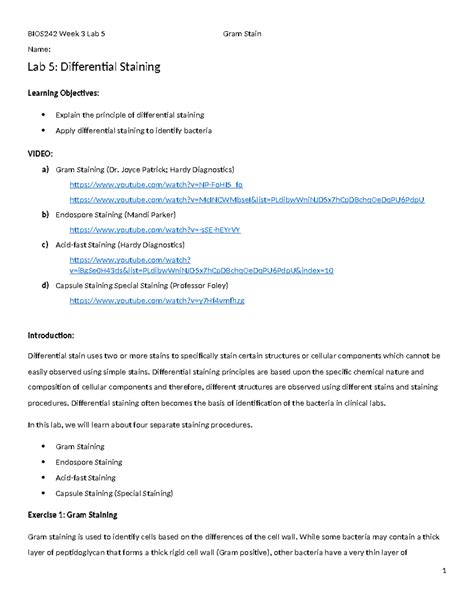 Dr Zeine Week 3 Lab 5 Differential Staining Gram Stain Name Lab 5