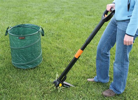 Which Weed Remover Tool To Buy Forums