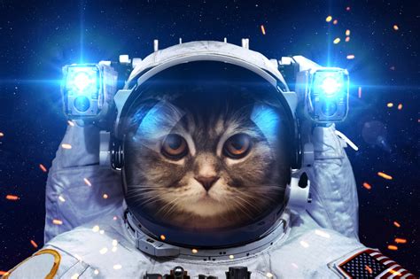 ¿sueñas Con Ser Astronauta Mira Acá Si Cumples Los Requisitos Para