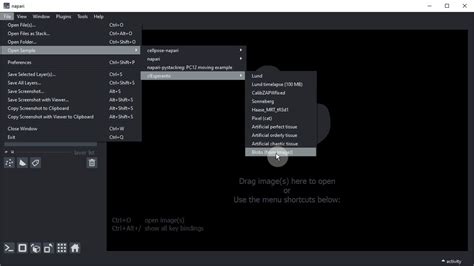 Interactive Pixel Classification And Object Segmentation In Napari — Image Data Science With