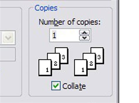 How To Use The Powerpoint 2007 Print Dialog Box Dummies