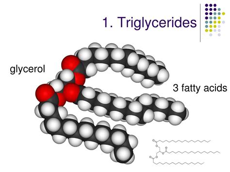 Ppt Understanding Food Labels Carbohydrates Lipids Proteins