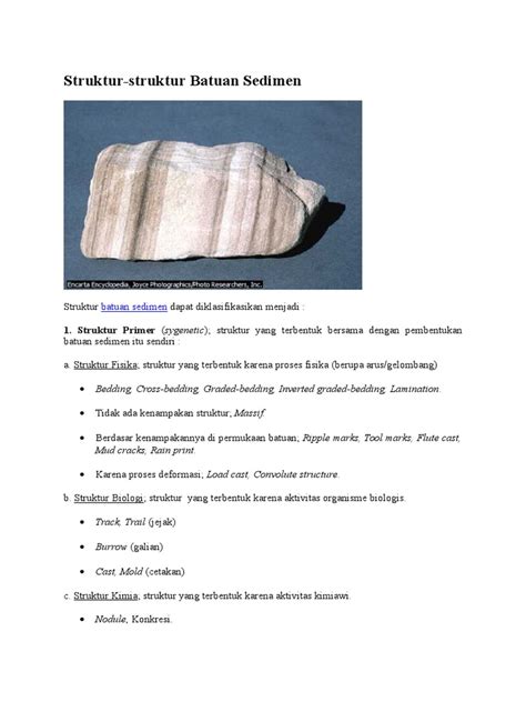 Struktur Sedimen Pdf Sains And Matematika