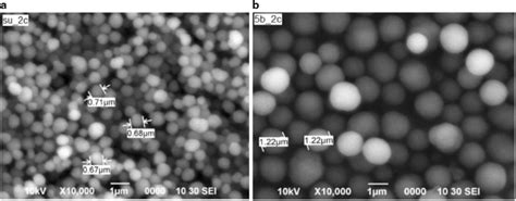 Sem Image For A Nip And B Mip Download Scientific Diagram