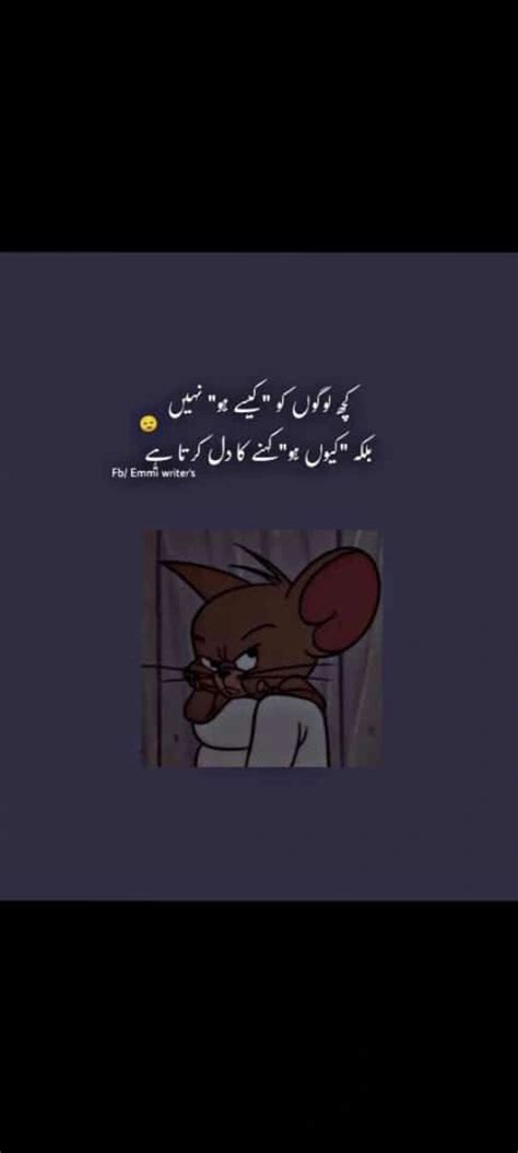 Mubashir Ali Khanzada Posted On Linkedin