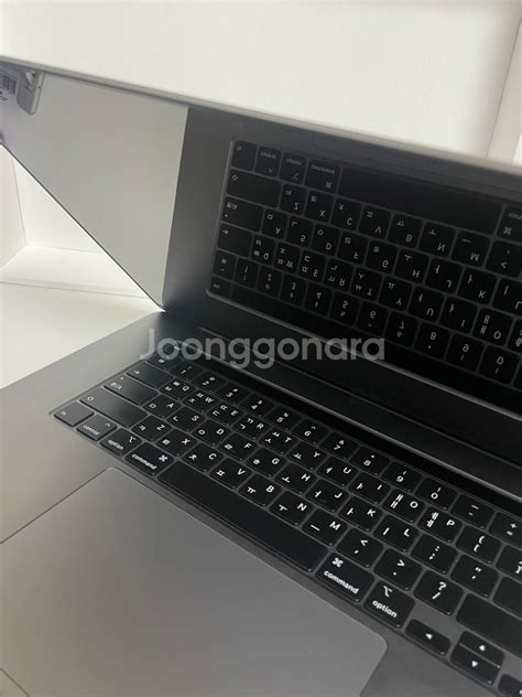 맥북 프로 인텔 16인치 터치바 스그 풀박스 애플 중고나라