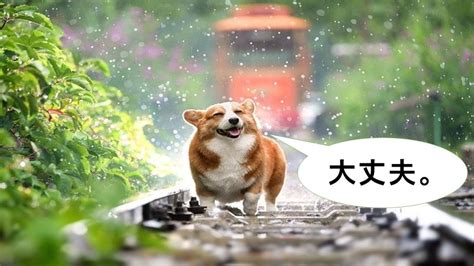 言葉 ことば の語源や由来は何 でも日本が好きだ
