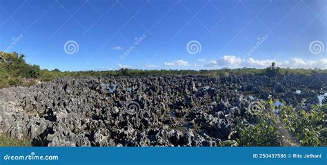 Limestone Formations In The Town Of Hell On Grand Cayman In The Cayman