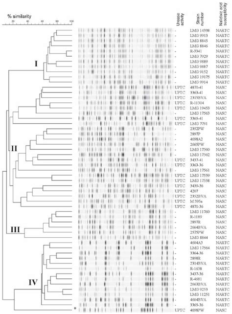Dendrogram Derived From Unweighted Pair Group Method Using Average Download Scientific Diagram