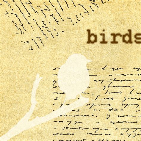 Grunge Background Book Texture Document Photo And Picture For Free Download Pngtree