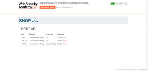 Portswigger靶场api测试通关（上）portswigger Api Csdn博客