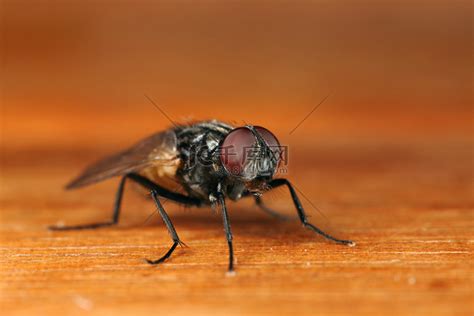 飞高清摄影大图 千库网