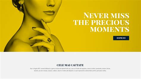 Case Study Web Design Branziba