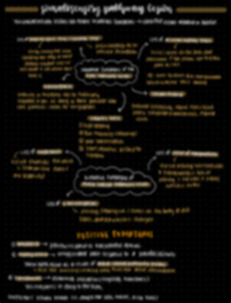 Solution Sensory Pathways Studypool