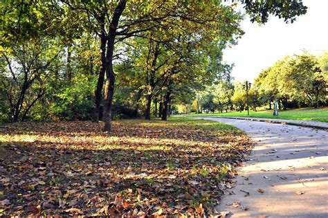 Comune Di Cornaredo Cornaredo