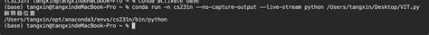 Vscode Run Python File报错 Error Condaclimainrunexecute33