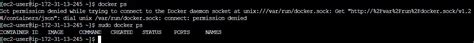 How To Install Docker On Amazon Linux 2 Instance Cloudkatha