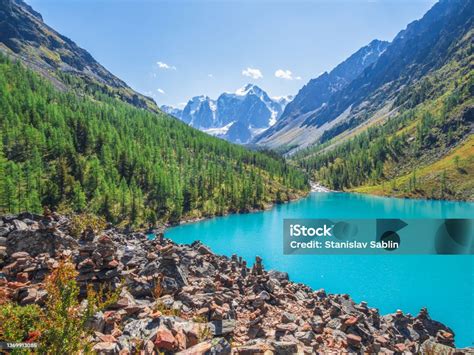 햇빛에 전나무 나무 중 숲에서 놀라운 맑은 산 호수 눈 덮인 산의 배경에 아름다운 청록색 호수와 밝은 풍경 로워 샤블린 호수 산에 대한 스톡 사진 및 기타 이미지 Istock