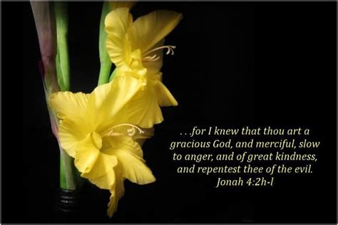 Jonah Bible Quotes Quotesgram
