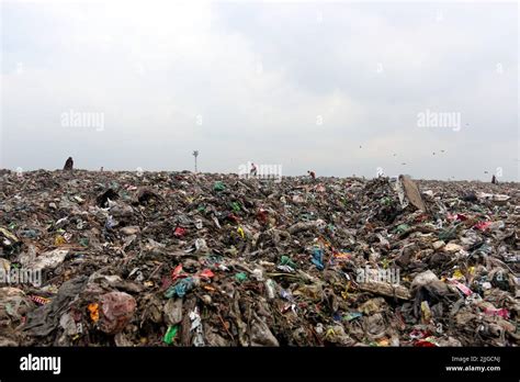 Les gens recyclent les déchets non biodégradables dans une décharge à
