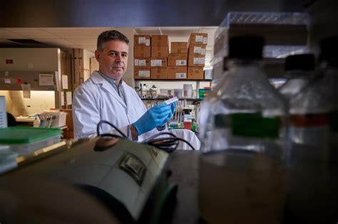 Vacina Contra Zika Criada Por Brasileiro Nos Eua Tem Eficácia Em