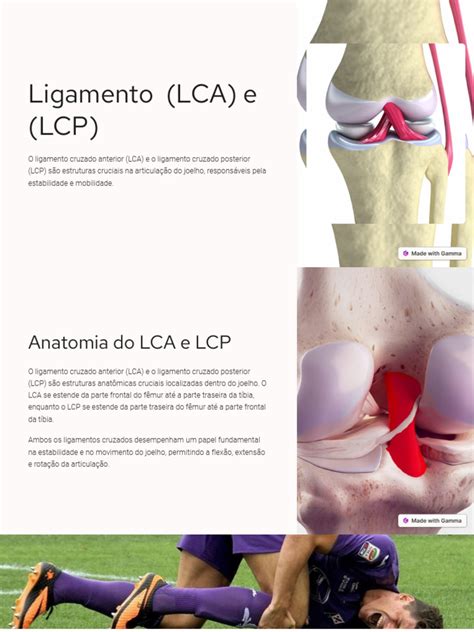 Ligamento Lca E Lcp Pdf Joelho Sistema Locomotor