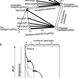 Schematic Representation Of The Solid Solution Models A The Thick Download Scientific