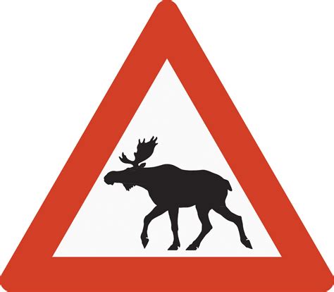 Fareskilt Fare For Elg Skiltet