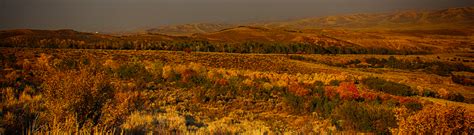 Summit County Ut Official Website Official Website