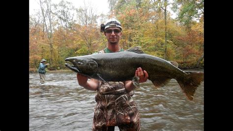 King Salmon Fishing On The Salmon River In October Youtube