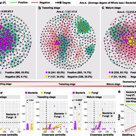 Temporal Dynamics Of Bacterial Fungal Interkingdom Networks Download Scientific Diagram