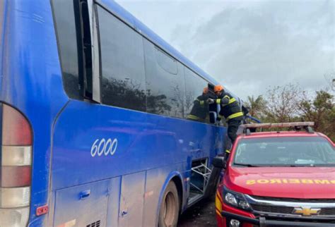 TragÉdia Identificado O Motorista De ônibus Que Morreu Após Colisão